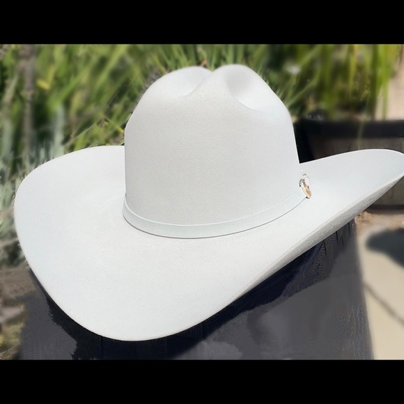 Larry Mahan | Accessories | Larry Mahans 6x Real Platinum Cowboy Hat ...
